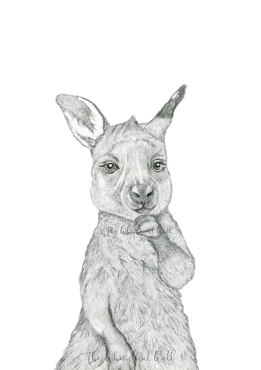 Kangaroo Joey Drawing – The Whimsical Wall